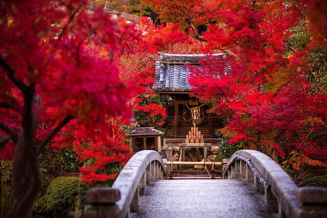 Kyoto: Serene Stroll Through Eikandos Timeless Temple Paths - Key Points
