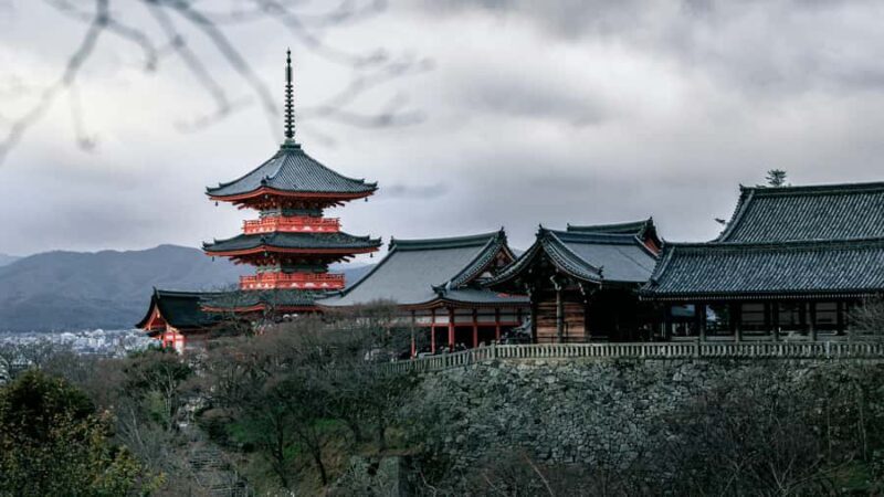 Kyoto: Signature Day Tour and Tea Ceremony with Your Vehicle - Who Will Love This Tour?