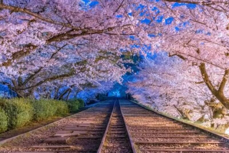 KYOTO: Sophisticated Harmony Journey: 4 Calming Scenes - How the Experience Works for You