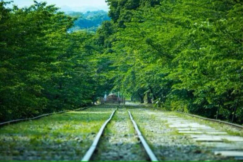 KYOTO: Sophisticated Harmony Journey: 4 Calming Scenes - The Sum Up