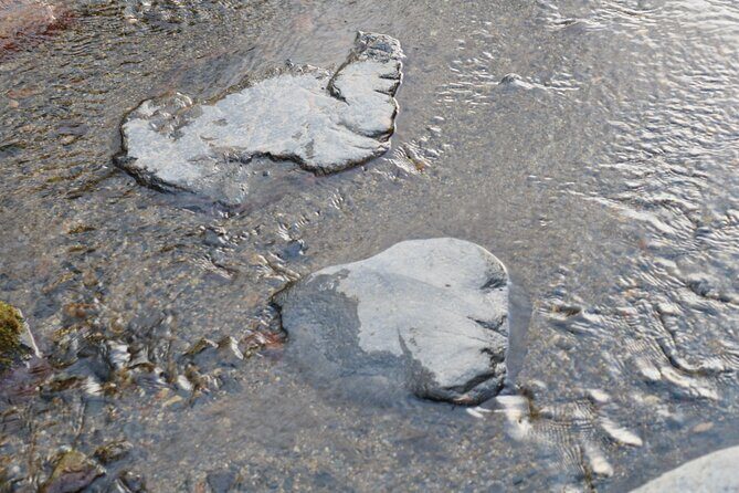 Kyoto Spiritual Conversations & Mindful Encounters PRIVATE Tour - Key Points