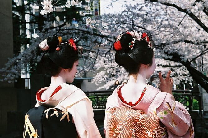 Kyoto Spring Evening (Cherry Blossom) Food Tour - Introduction to the Tours Charm