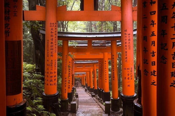 Kyoto Spring Evening (Cherry Blossom) Food Tour - Price & Value