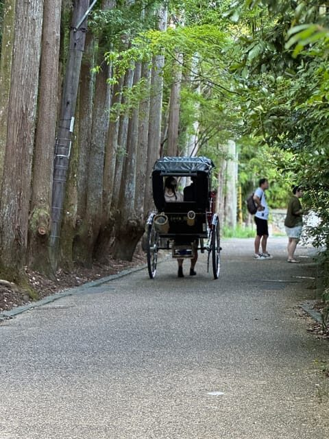 Kyoto: Stroll around the Depths of Arashiyama - The Practicalities: What to Expect