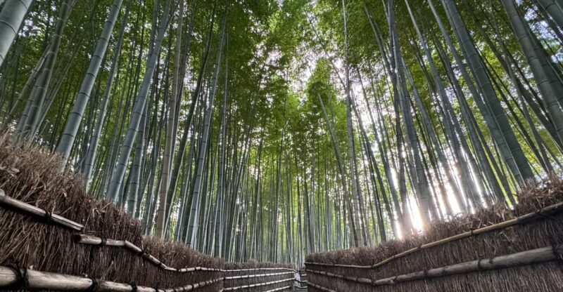 Kyoto: Stroll around the Depths of Arashiyama - Authentic Experiences and Authenticity