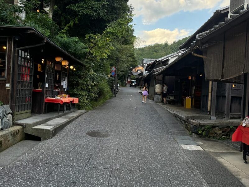 Kyoto: Stroll around the Depths of Arashiyama - Who Should Consider This Tour?