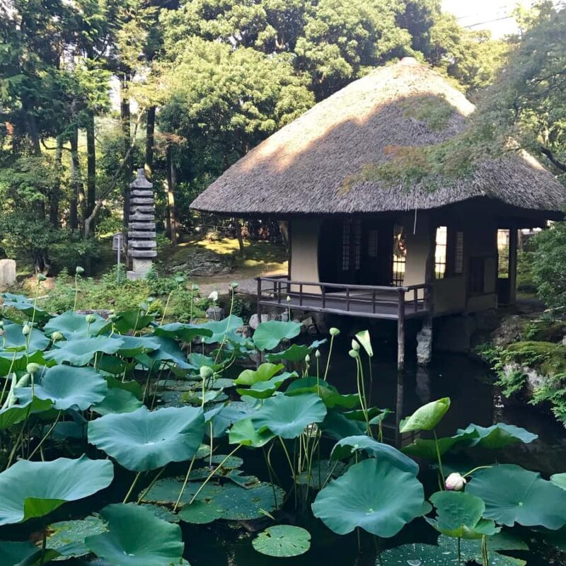 Kyoto: Tea Ceremony in a Japanese Painter's Garden - Who This Tour Fits Best
