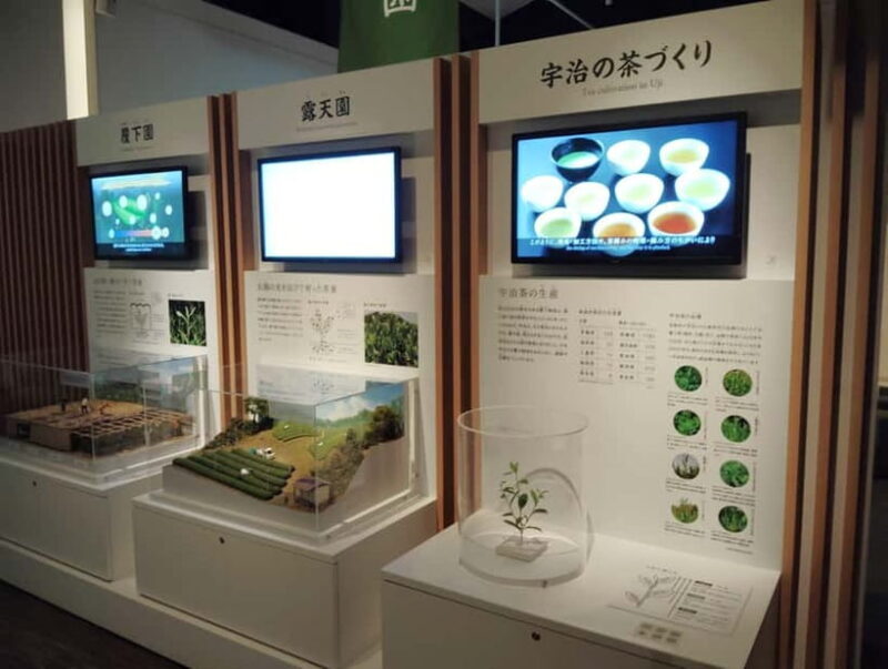 Kyoto: Tea Museum and Tsuen Teahouse Guided Tour - What the Tour Offers