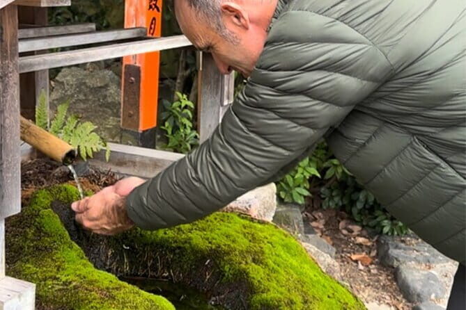 Kyoto: Temple Yoga, Tour of Four Spring Waters & Nourishing Lunch - Key Points