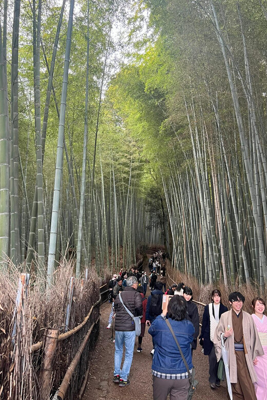 Kyoto: The Heart of Arashiyama, Bamboo Forests and Sacred Temples - An In-Depth Look at the Kyoto Arashiyama Tour