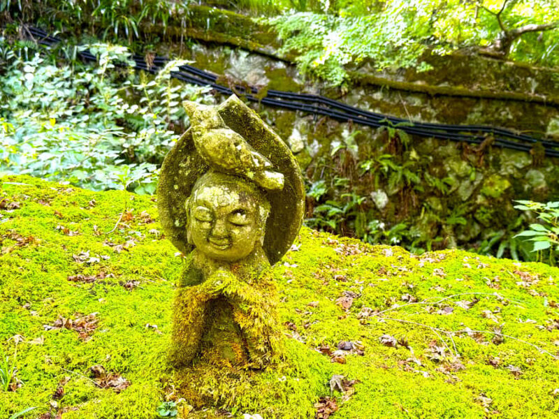 Kyoto: The Hidden Sanctuary of Sanzen-in Temple - An Introduction to Sanzen-in: Kyoto’s Quiet Treasure