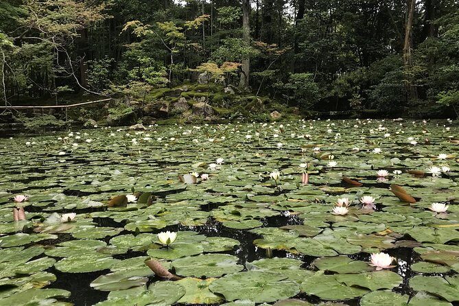 Kyoto: The Path Less Traveled (Private) - An In-Depth Look at the Tour