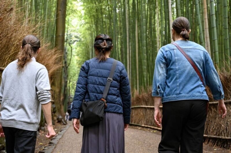 Kyoto to Arashiyama Day Trip - Private & Personalized - What It’s Like to Travel with a Guide