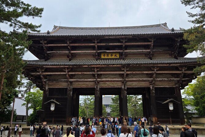 Kyoto to Nara Day Trip 6 Hour Private Tour with Deer and Temples - The Practical Side: What You Need to Know