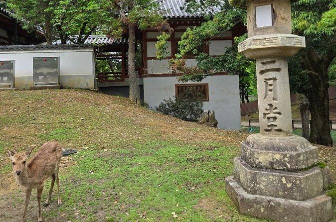 Kyoto to Nara Day Trip 6 Hour Private Tour with Deer and Temples - FAQ