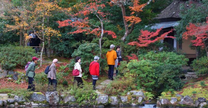 Kyoto to Nara: Private Day Trip with a Local - Key Points