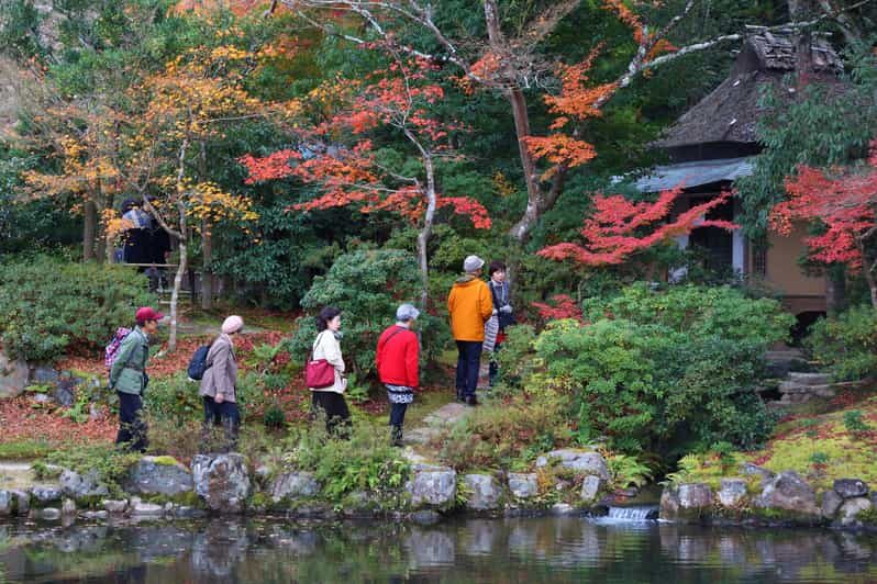 Kyoto to Nara: Private Day Trip with a Local - Exploring the Heart of Nara with a Local Guide