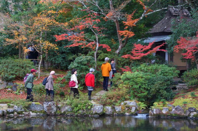 Kyoto to Nara: Private Day Trip with a Local - Authenticity Meets Convenience
