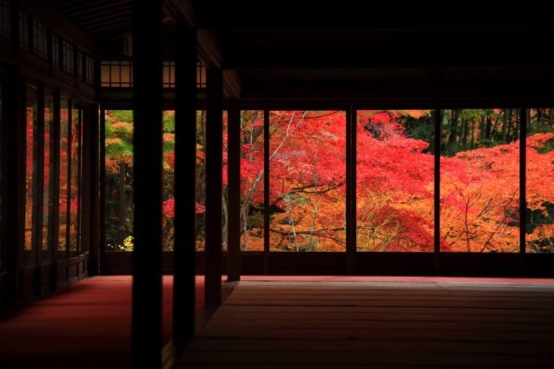 Kyoto Top Highlights Full-Day Trip from Osaka - Who Is This Tour Best For?