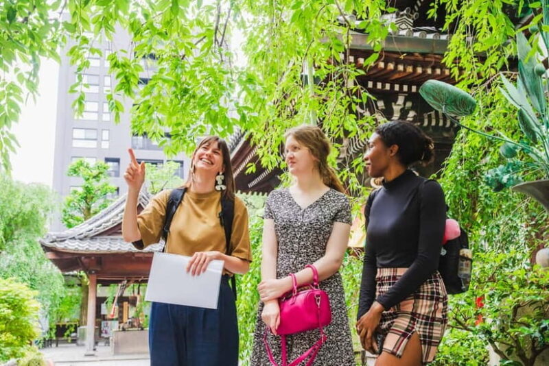 Kyoto: Top Sights Guided Tour - Gion, Kinkaku, Fushimi, Nijo - Key Points