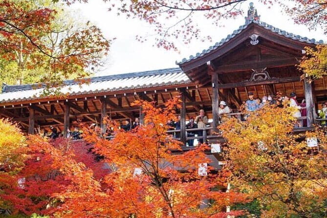Kyoto tour 12 hours Private Nagoya pick up available - FAQ
