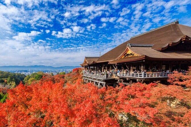 Kyoto & Uji Day Tour: Golden Pavilion, Kiyomizu & Matcha Street - Who Will Benefit Most From This Tour?