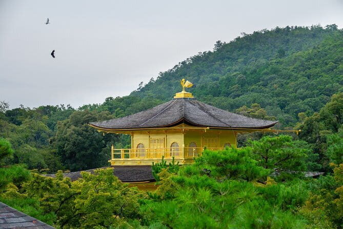 Kyoto & Uji: Full Day Sightseeing Tour from Osaka or Kyoto - A Closer Look at the Itinerary