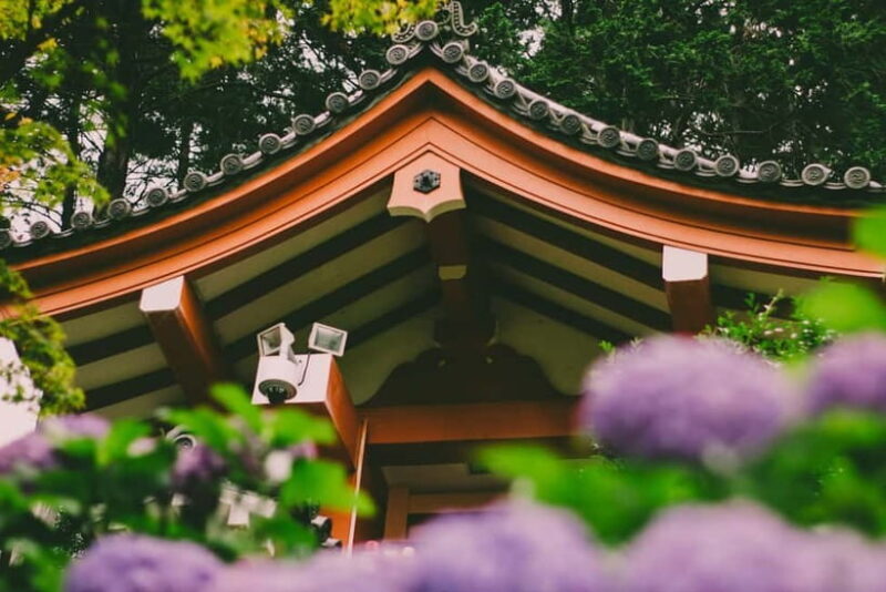 kyoto Uji Private Luxury Car Tour: The Capital of Matcha - Key Points