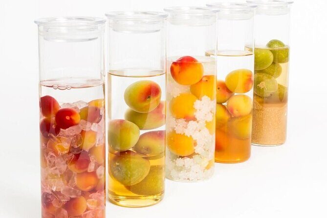 Kyoto Ume Liqueur Experience with CHOYA Make Your Unique Souvenir - Practical Tips for Booking and Enjoying
