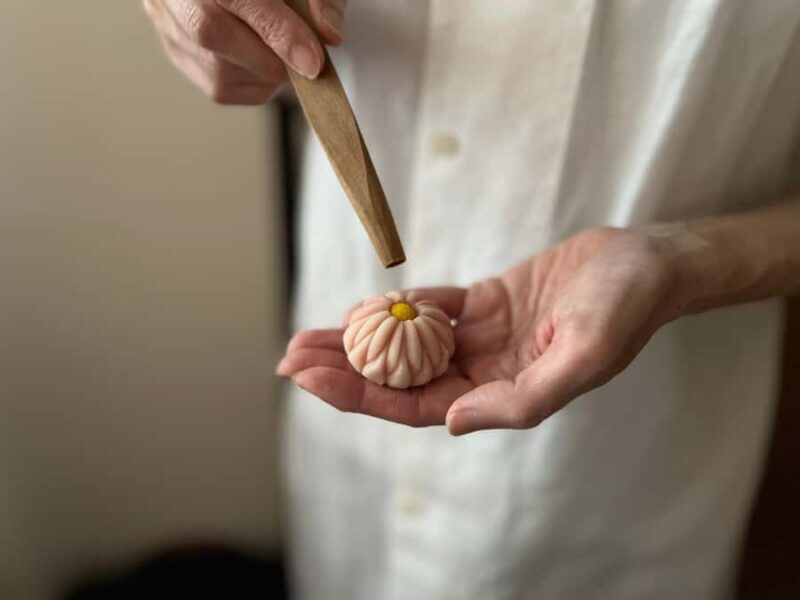 Kyoto Wagashi Making Class with a Professional Artisan - Introduction: A Taste of Kyoto’s Sweet Craftsmanship