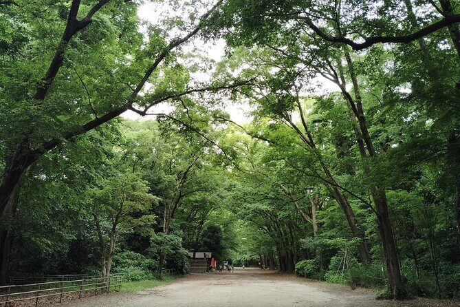 Kyoto: Walk Through History in Shimogamos Sacred Woods - Exploring Kyoto’s Sacred Forests: What You Can Expect