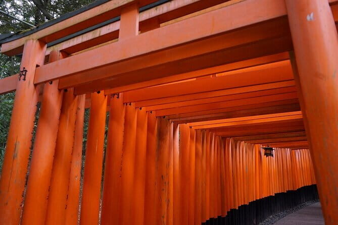 Kyoto Walking Tour at Fushimi Inari Shrine and Tofukuji Temple - Key Points