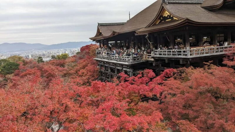 Kyoto: Walking tour Kiyomizu, Geisha District with a Local - Key Points