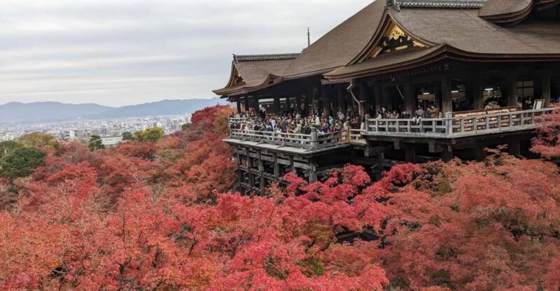 Kyoto: Walking tour Kiyomizu, Geisha District with a Local - Deep Dive into the Experience