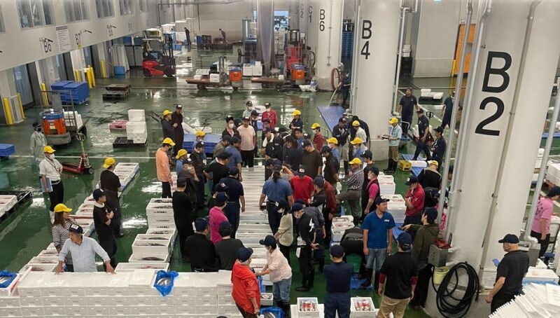 Kyoto: Wholesale Fish Market Walking Tour - A Thorough Look at the Kyoto Fish Market Tour