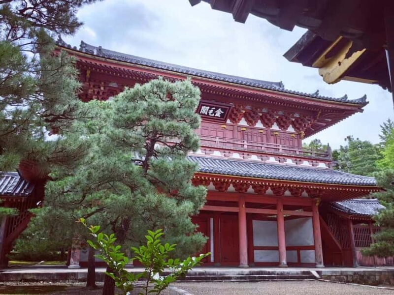 Kyoto: Zen and Tea Slow Cycling Tour with Meditation - What the Tour Includes and Practicalities