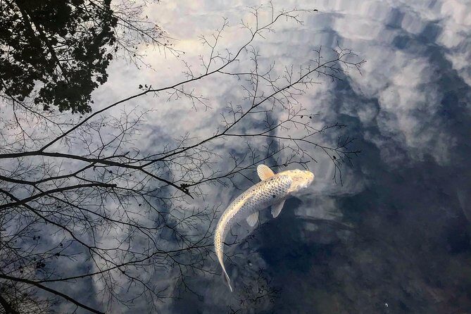 Kyoto: Zen Garden, Zen Mind (Private) - Who Would Enjoy This Tour?