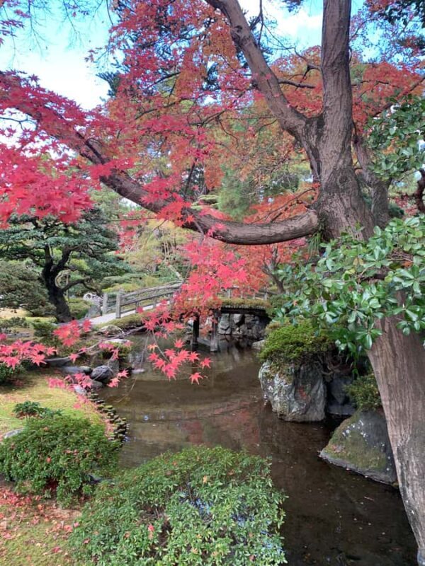 Kyoto Zen Highlights: Nanzenji, Kenninji, Tofukuji & Ginkaku - What Travelers Say