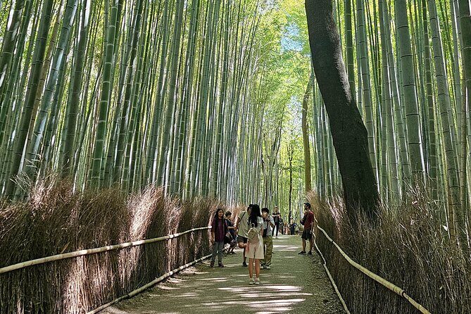 Kyoto's Arashiyama Bamboo Grove: 3-Hour Guided Tour - Key Points