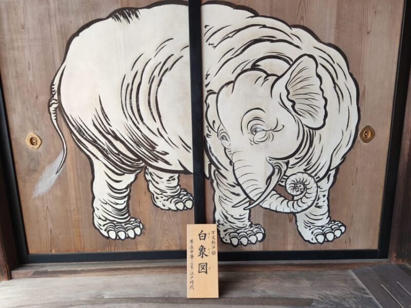 Kyoto's Cherry Blossom Beauty: A 4-Hour Sakura Stroll - Key Points