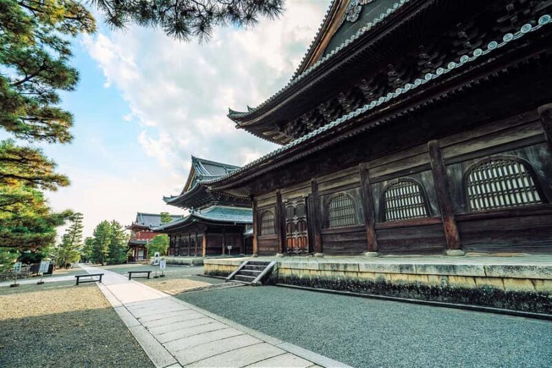 Kyoto's Cherry Blossom Splendor: A 3-Hour Sakura Tour - The Sum Up: Is This Tour Worth Your Time?