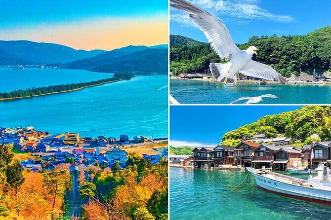 Kyoto's coast Amanohashidate and Ine Boathouse Full-Day Tour - Key Points