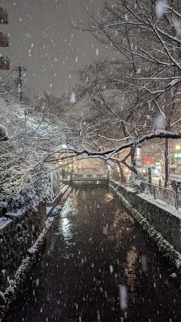 Kyoto's Refined Palate: A Food Tour for Discerning Guests - The Sum Up