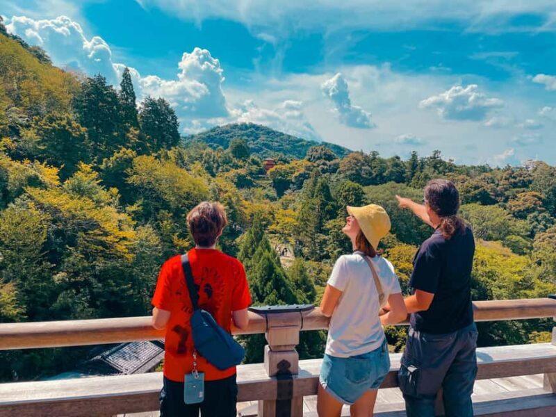 Kyoto's Soul: Gion & Kiyomizudera Historical Walking Tour - An In-Depth Look at the Tour