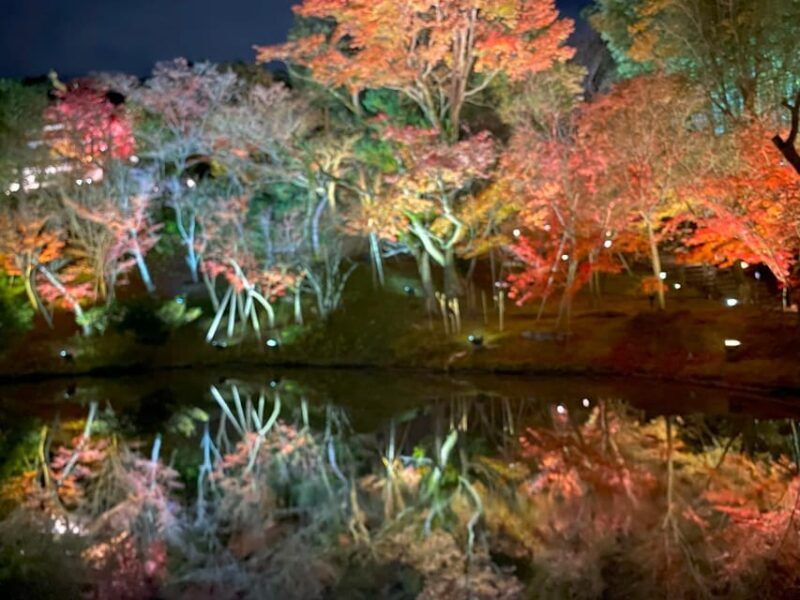 Kyotos Timeless Charm: 3hr Exploration of History and Peace - Who Should Consider This Tour?