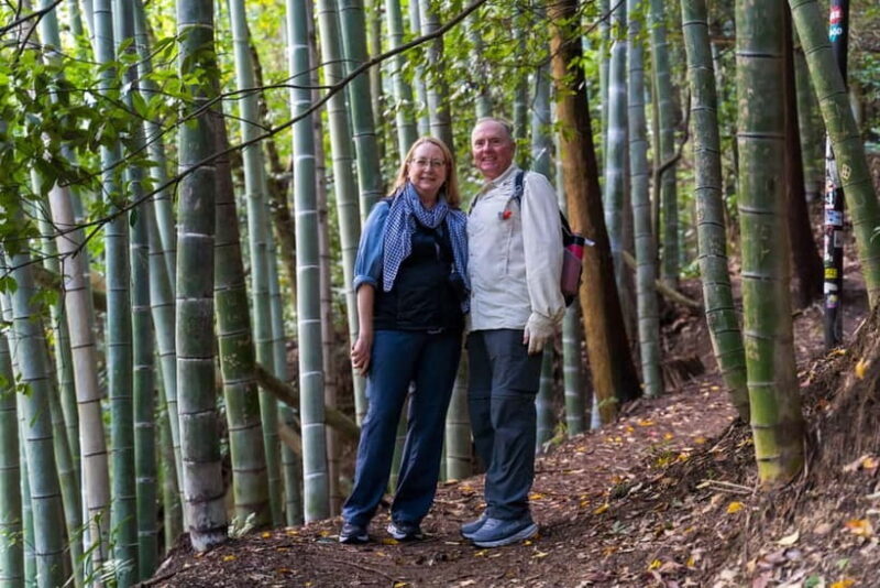 Kyoto's Treasures: Fushimi Inari's red gates & sacred sites - Final Thoughts: Who Will Love This Tour?