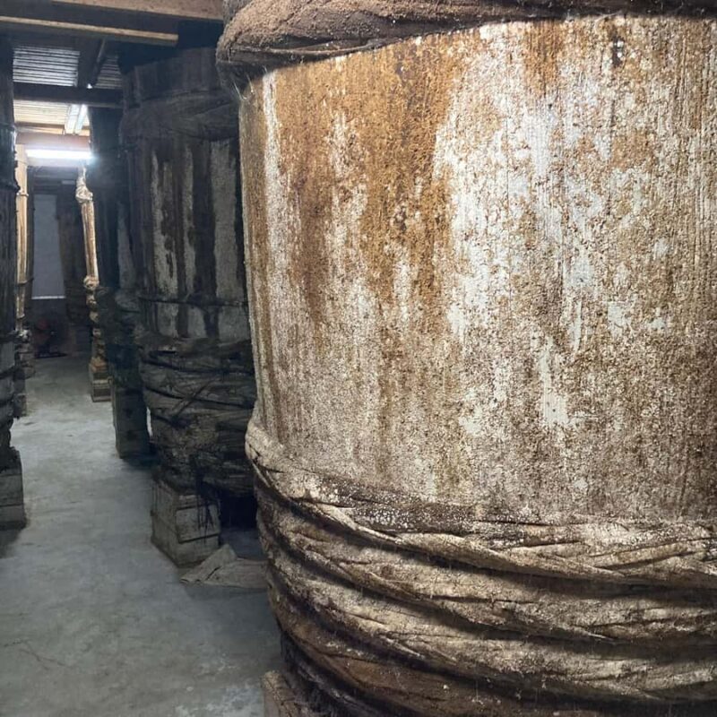 KyotoSoy Sauce Tasting & Hands-on workshop with light meal - Final call: This experience is ideal for those interested in authentic, sensory food encounters. It’s best suited for travelers who enjoy learning in a calm environment, appreciating craftsmanship, and expanding their appreciation for Japanese ingredients without the need for full-on cooking classes or large group tours.