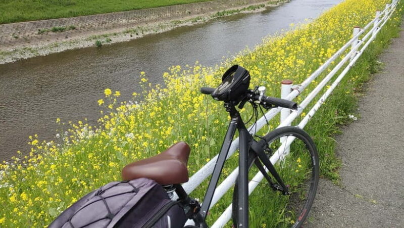 Kyoto:Three Gardens Bike Tour - An In-Depth Look at the Kyoto: Three Gardens Bike Tour