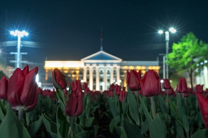 Kyrgyz Family Dinner: Meet, Eat, and Talk - Who Is This Tour Best For?