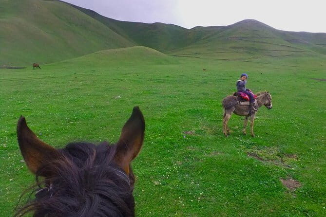 Kyrgyz Family Dinner: Meet, Eat, and Talk - Final Thoughts: The Value of a Kyrgyz Family Dinner